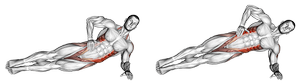 Side Plank Pulses — BETTER BODY ACADEMY