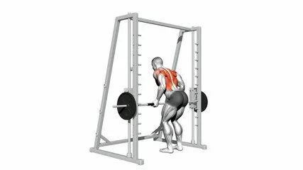 Underhand Grip Smith Machine Bent Over Rows — BETTER BODY ACADEMY