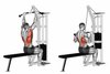 Wide Overhand Grip Lat Pulldown — BETTER BODY ACADEMY