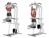 Assisted Wide Grip Overhand Chin Ups — BETTER BODY ACADEMY