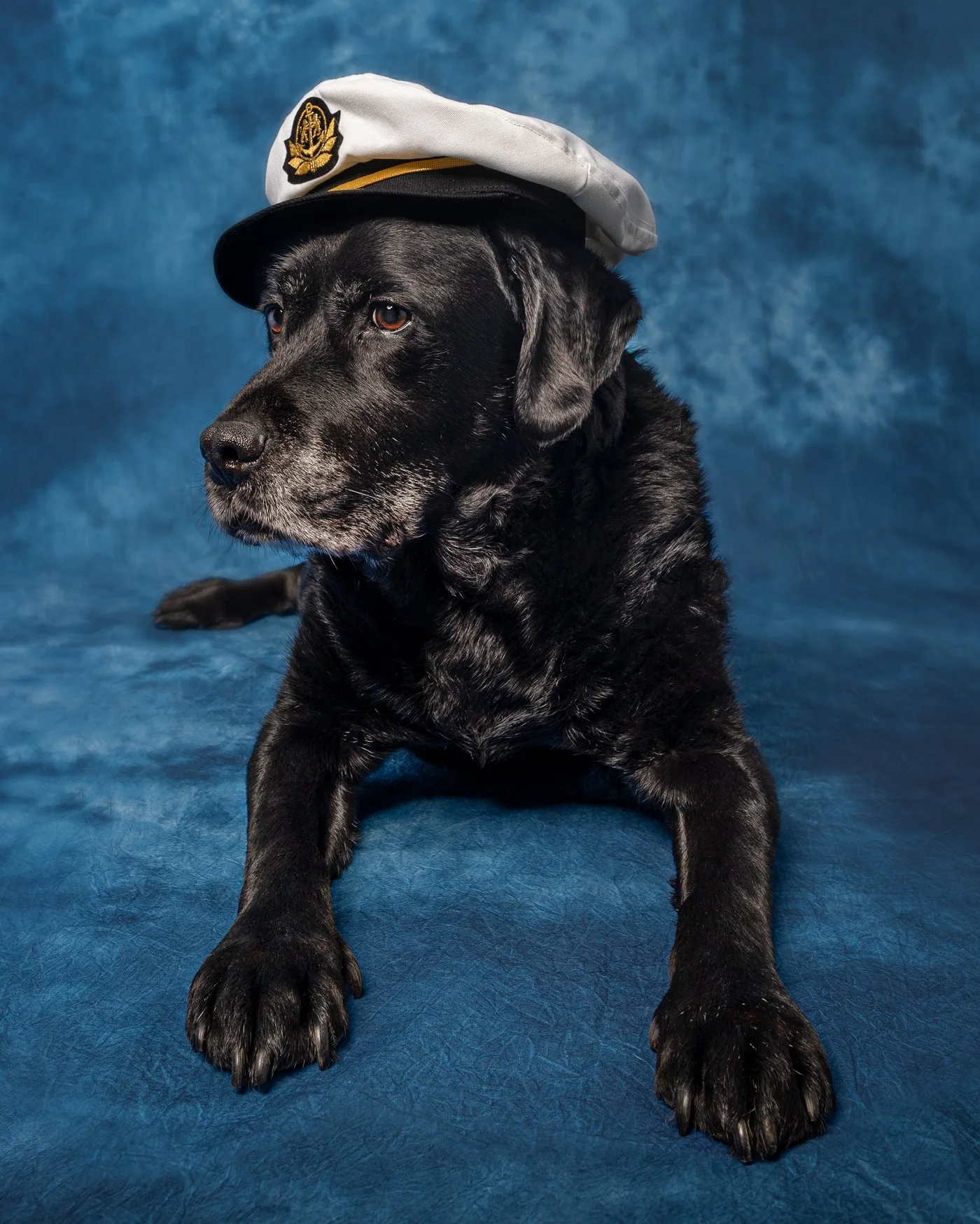 Eva Sacher Dog Photography Capitola Santa Cruz