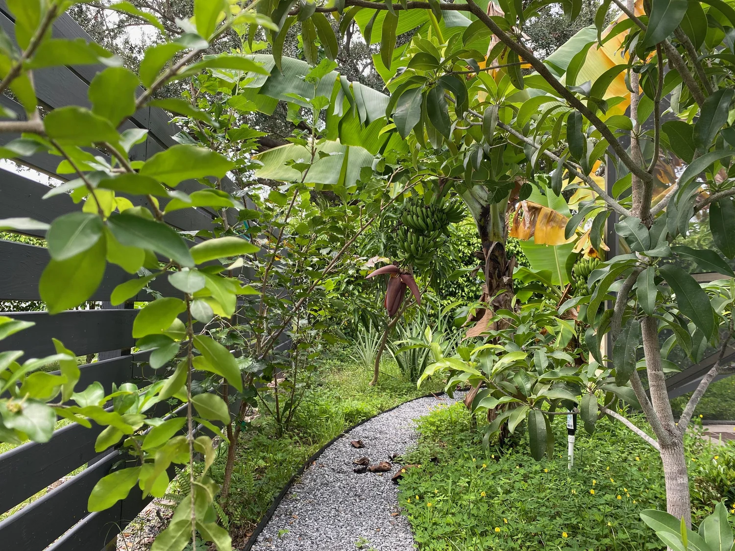 How to plant a food forest — 2Day4Tomorrow