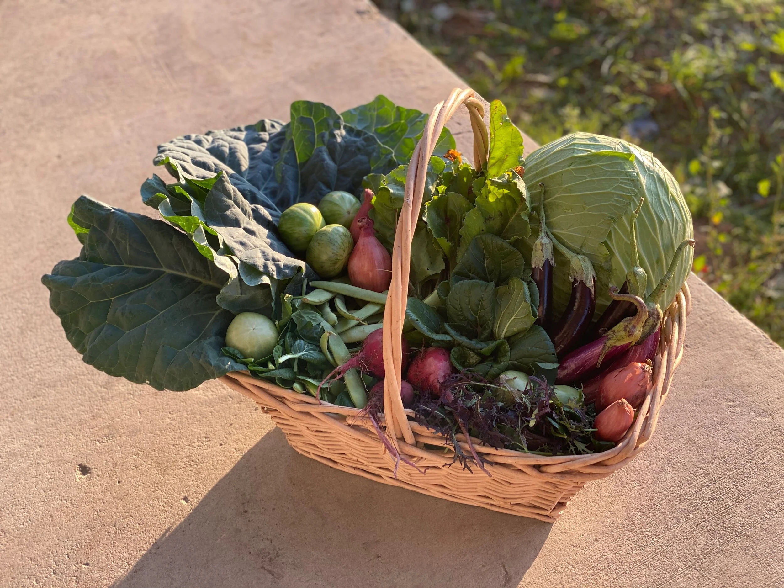 Full Plate Farm Collective