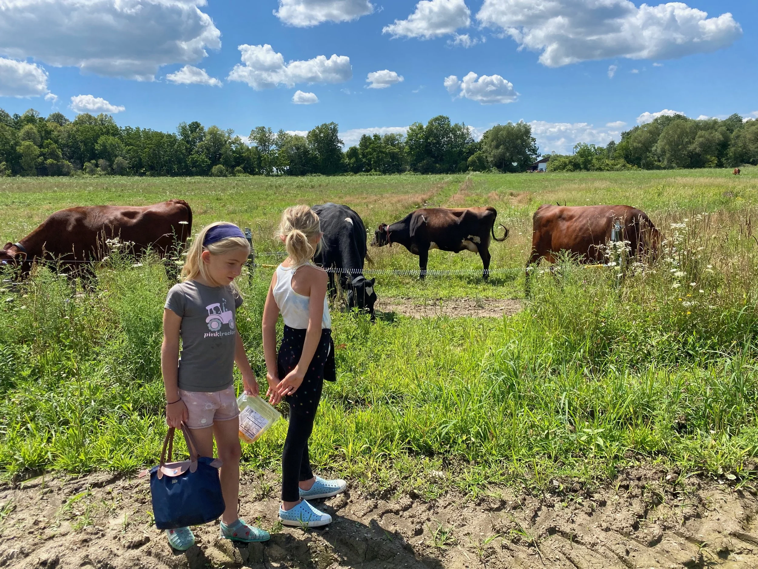 Full Plate Farm Collective