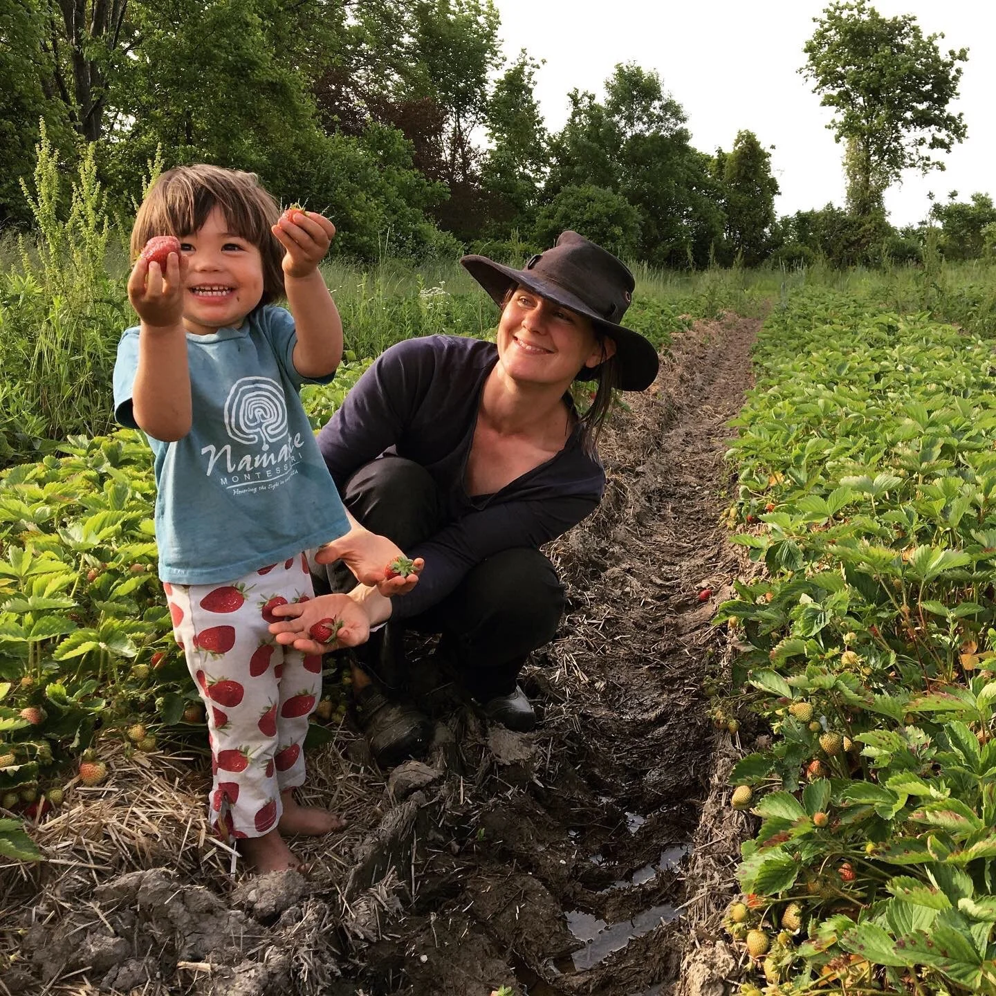 Full Plate Farm Collective