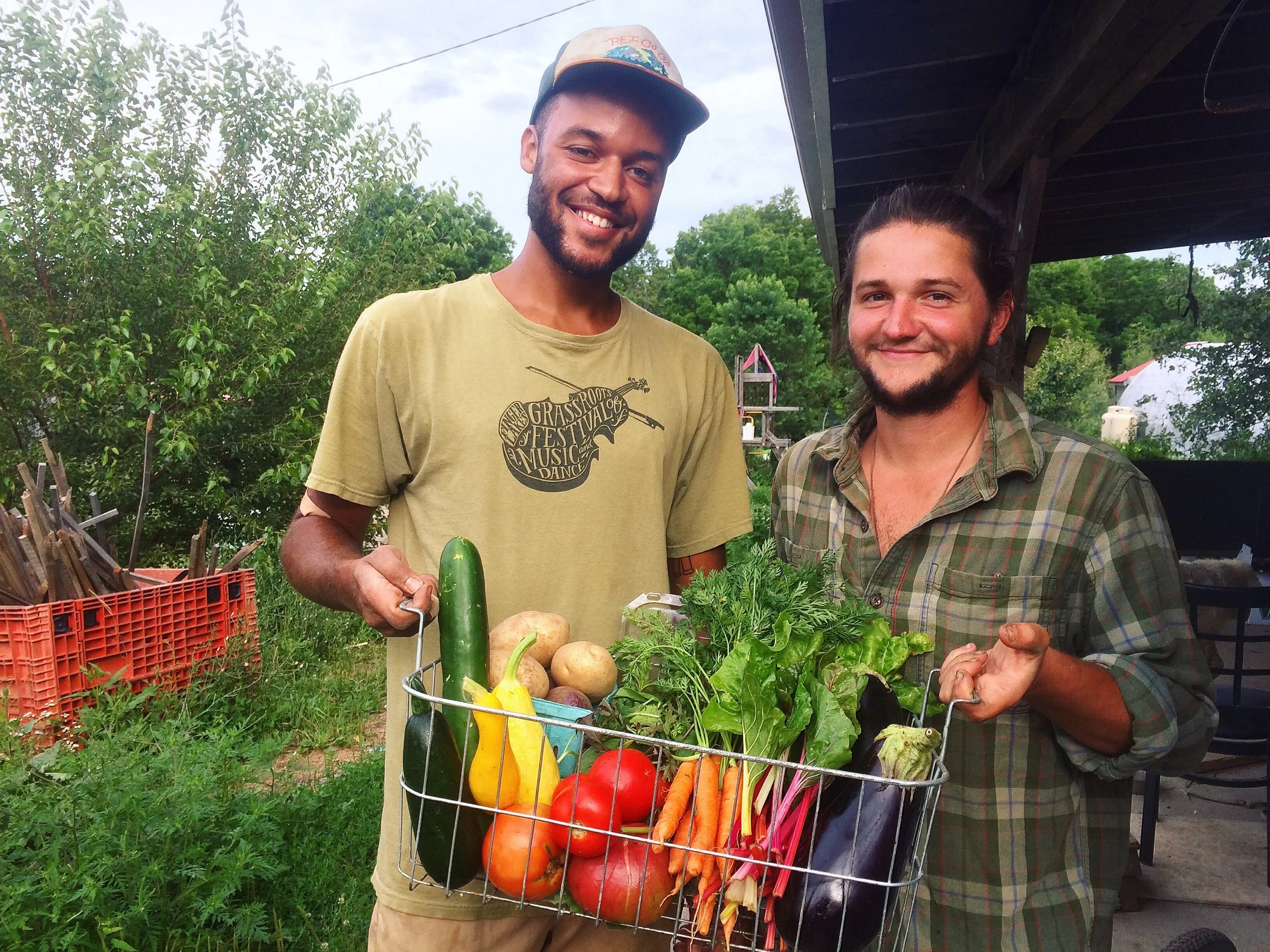 Full Plate Farm Collective