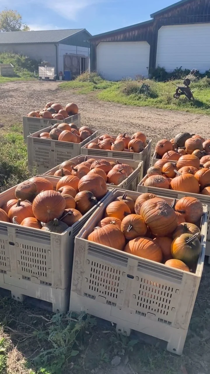 Full Plate Farm Collective