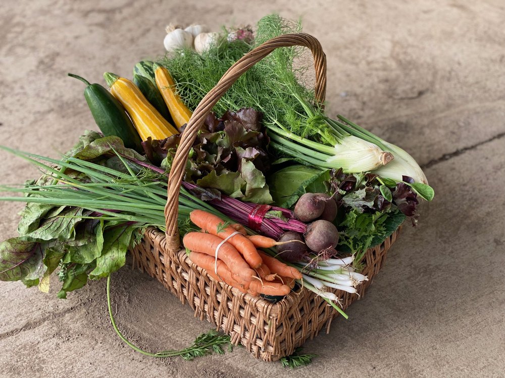 About — Full Plate Farm Collective