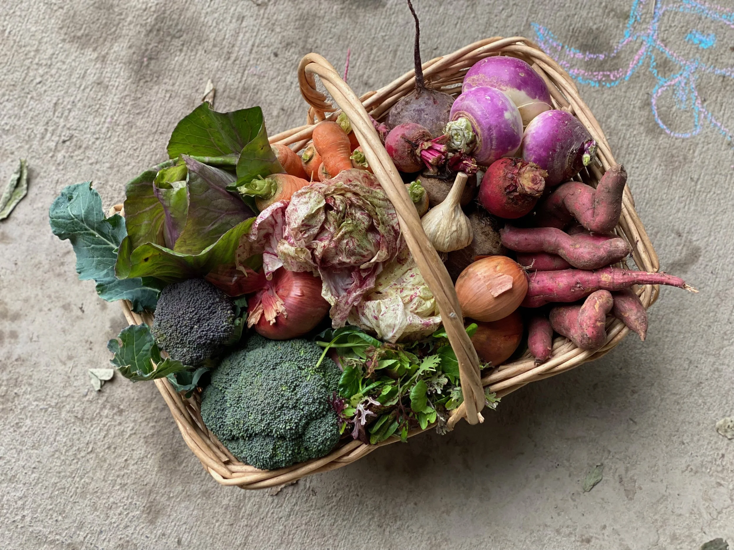 Full Plate Farm Collective