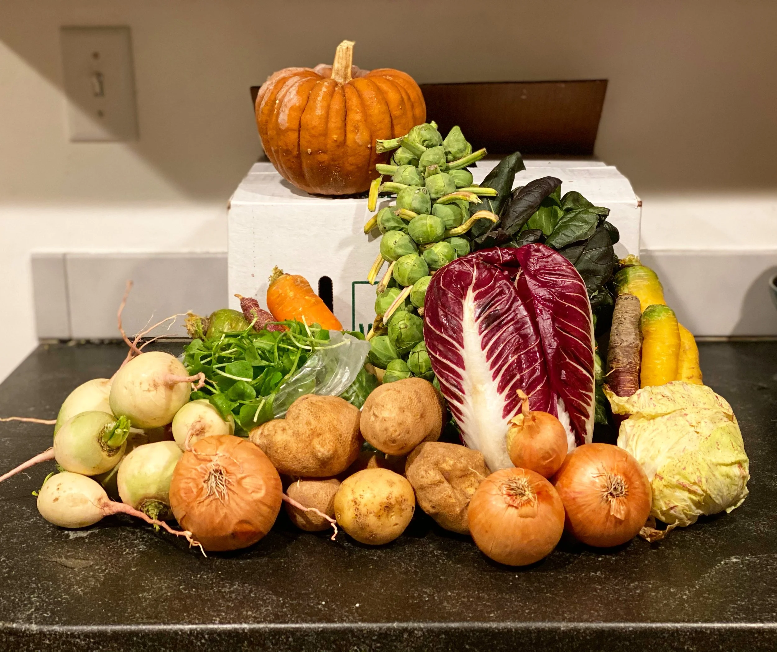 Full Plate Farm Collective