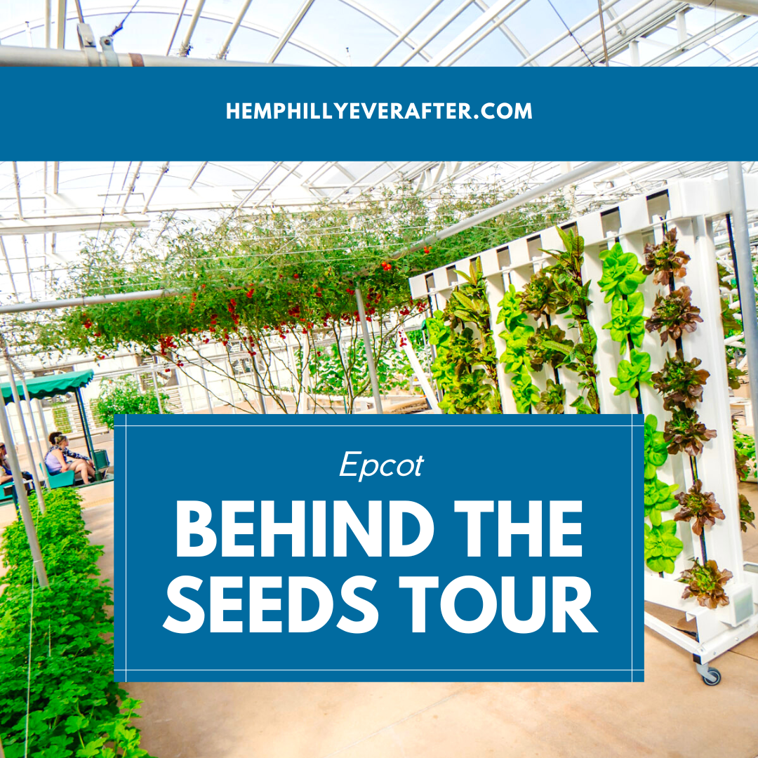 Disney Tips & Tricks Blog — Hemphilly Ever After