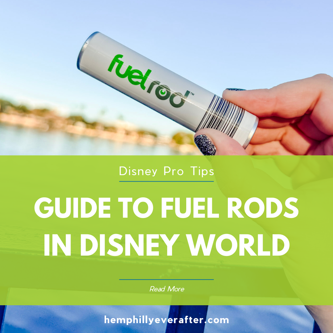 Disney Tips & Tricks Blog — Hemphilly Ever After