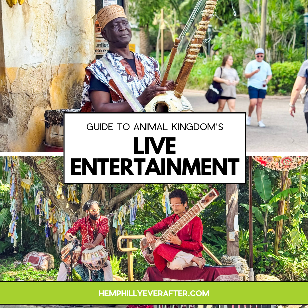 Your Guide to Live Entertainment at Disney’s Animal Kingdom — Hemphilly ...