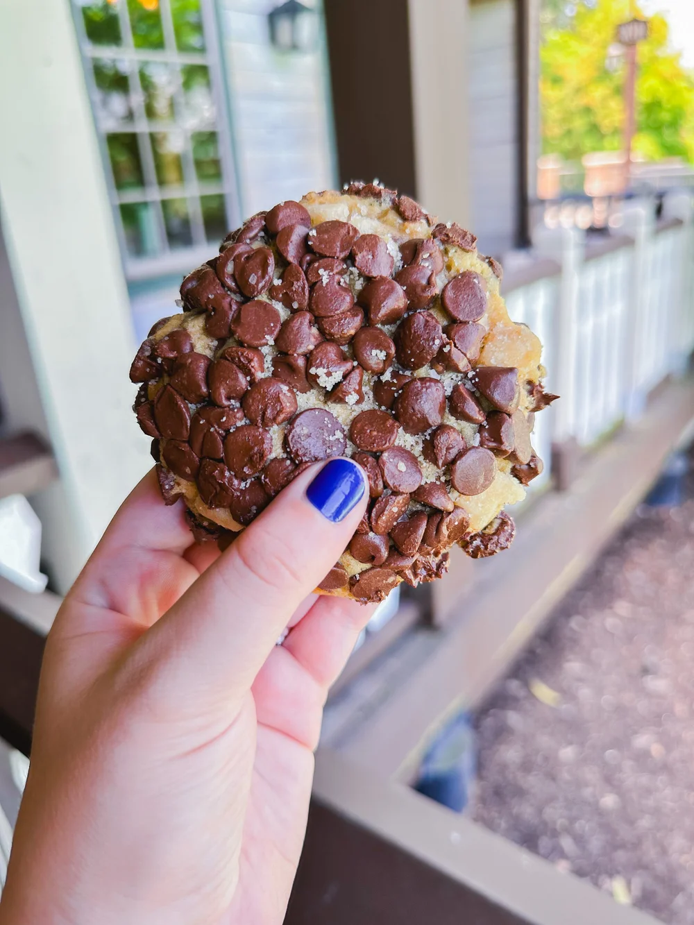 Flavors of Florida in disney Springs — Hemphilly Ever After