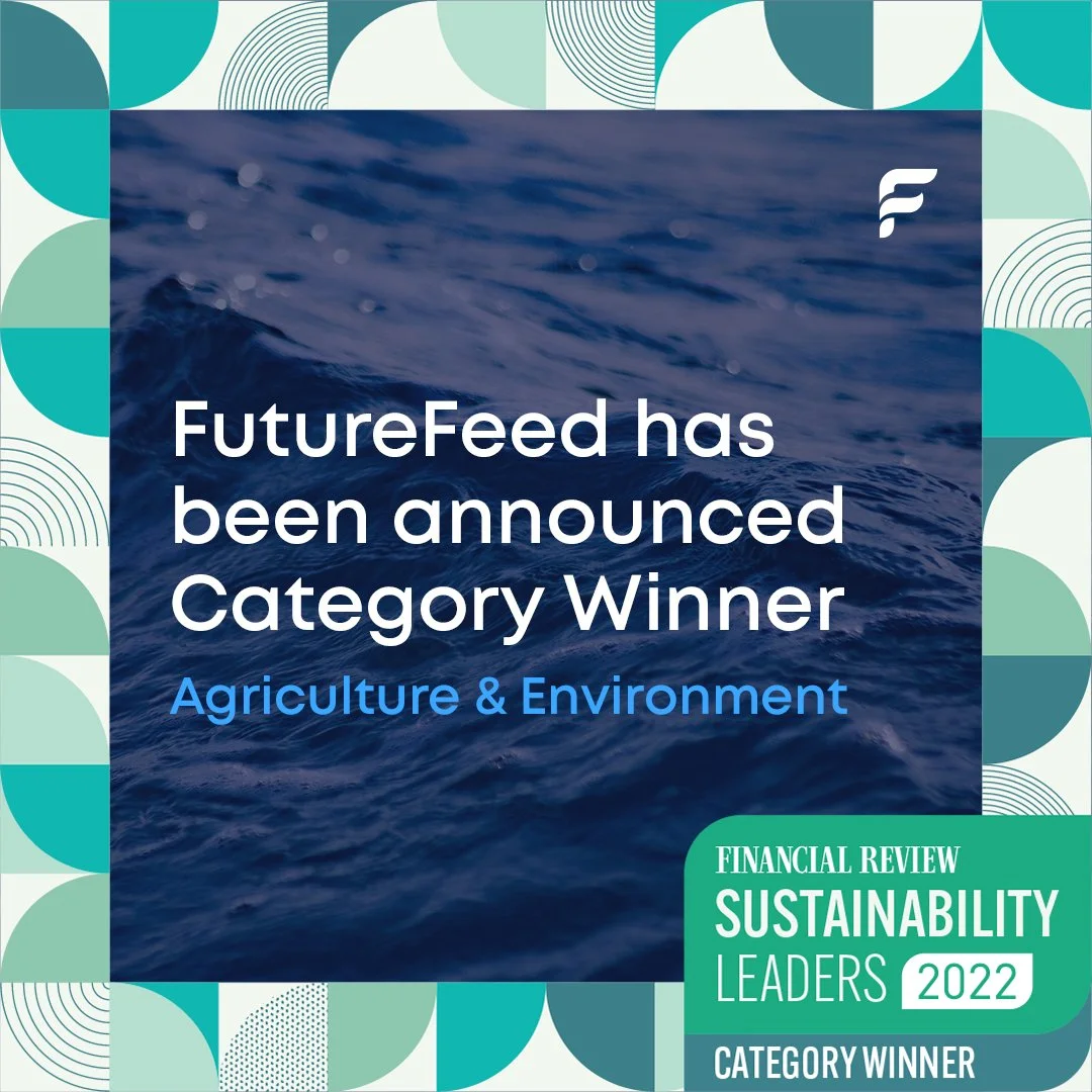 FutureFeed