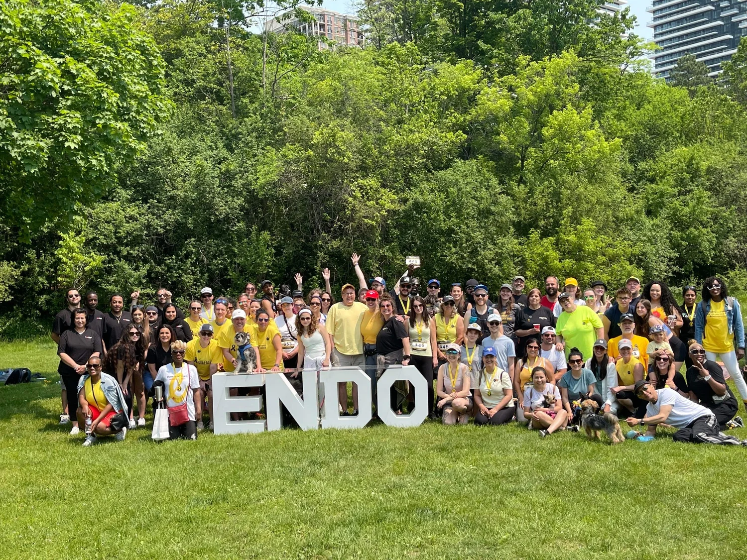 The Endo Network's Run To End Endo™
