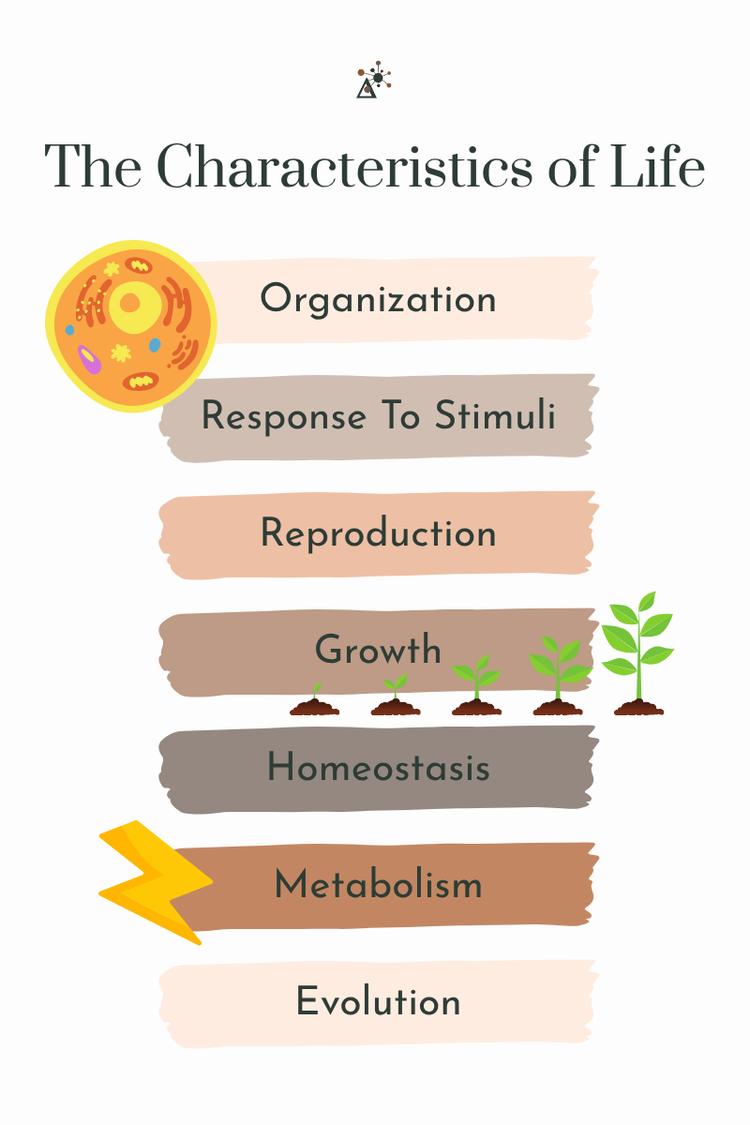The Characteristics of Life — Delta Learning