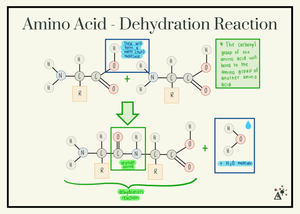 What Are Proteins? — Delta Learning
