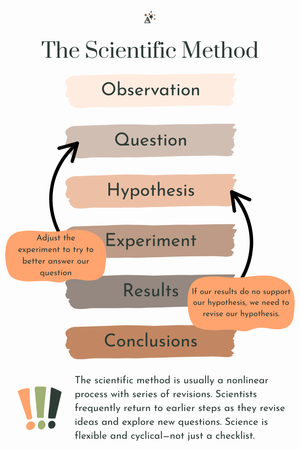 The Scientific Method: How Scientists Investigate the World — Delta ...