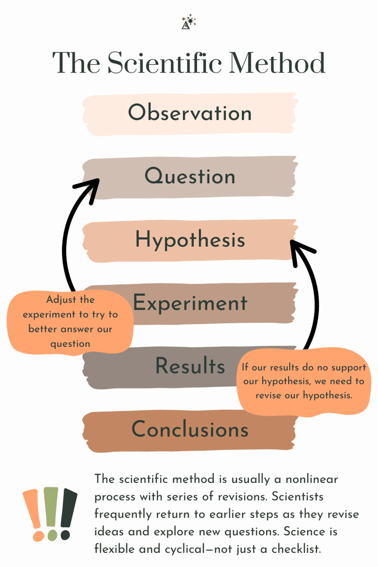 The Scientific Method: How Scientists Investigate the World — Delta ...
