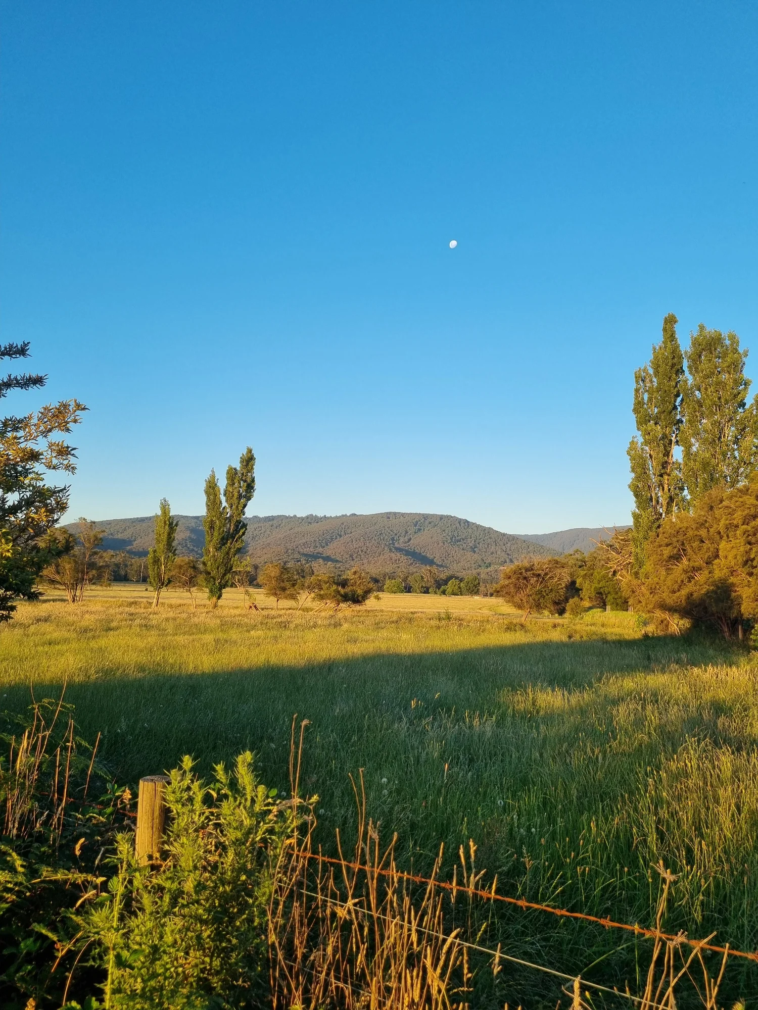 Range & Valley Physiotherapy — Range & Valley Physiotherapy - Chat to ...