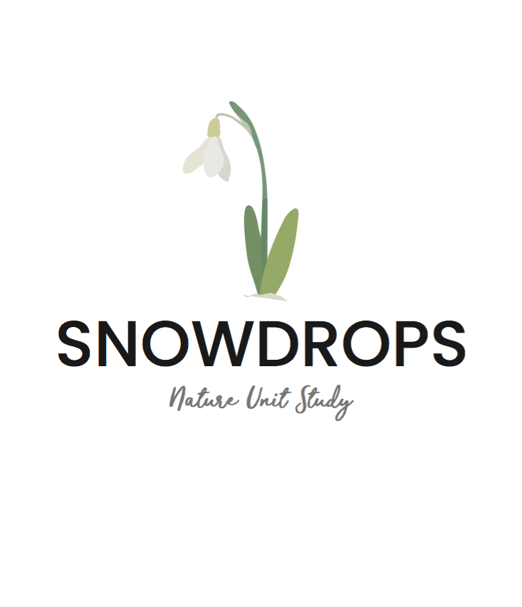 Moon Nature Unit Study — Wildflowers