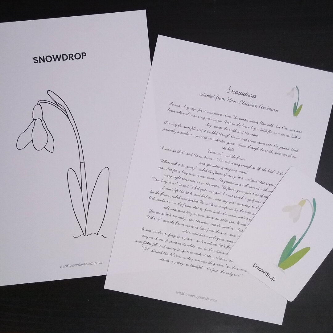 Moon Nature Unit Study — Wildflowers