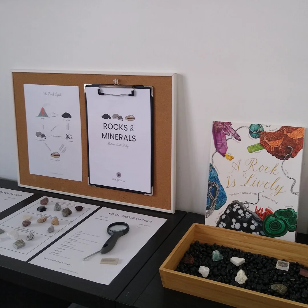 Moon Nature Unit Study — Wildflowers