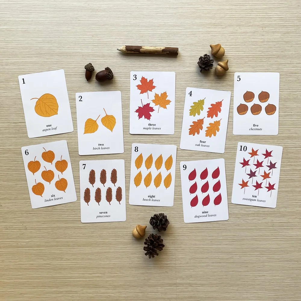 Continents of the World Geography Unit Study — Wildflowers