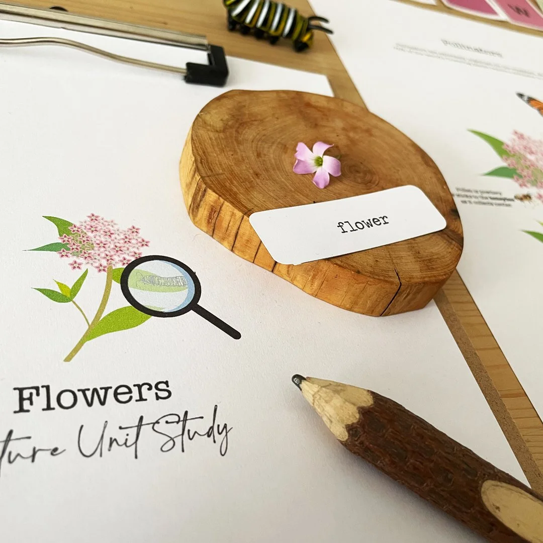 Shop — Wildflowers