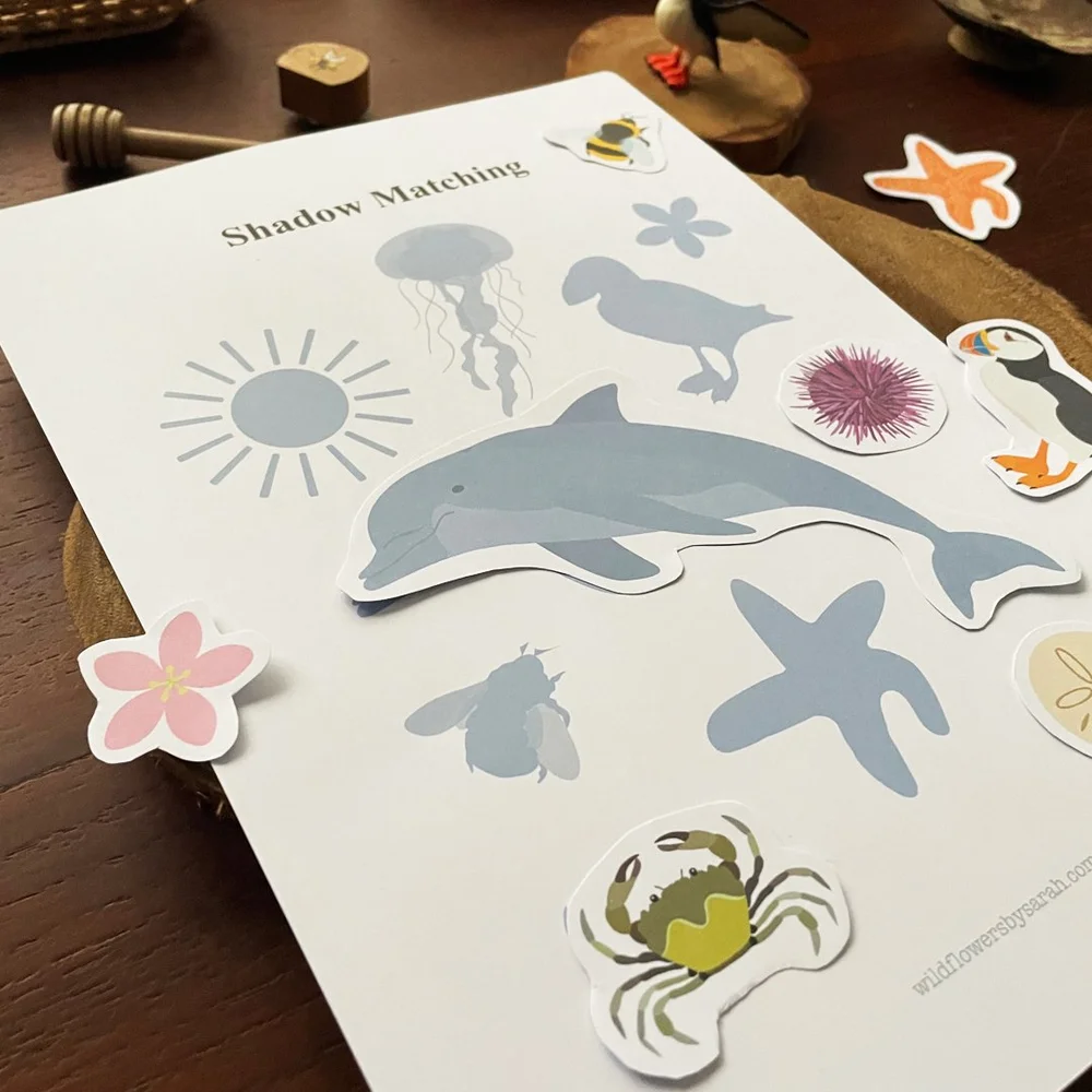 Continents of the World Geography Unit Study — Wildflowers