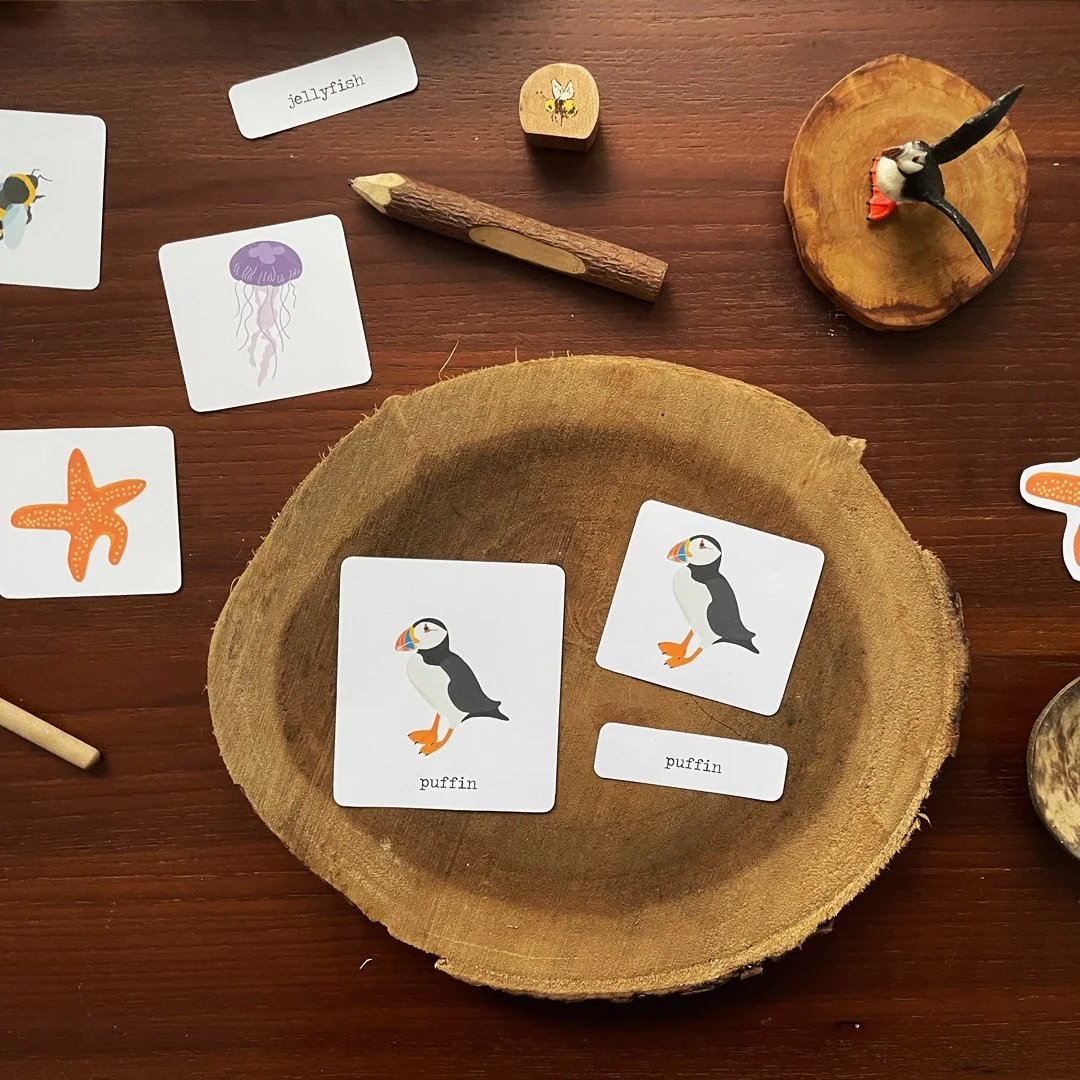 Continents of the World Geography Unit Study — Wildflowers