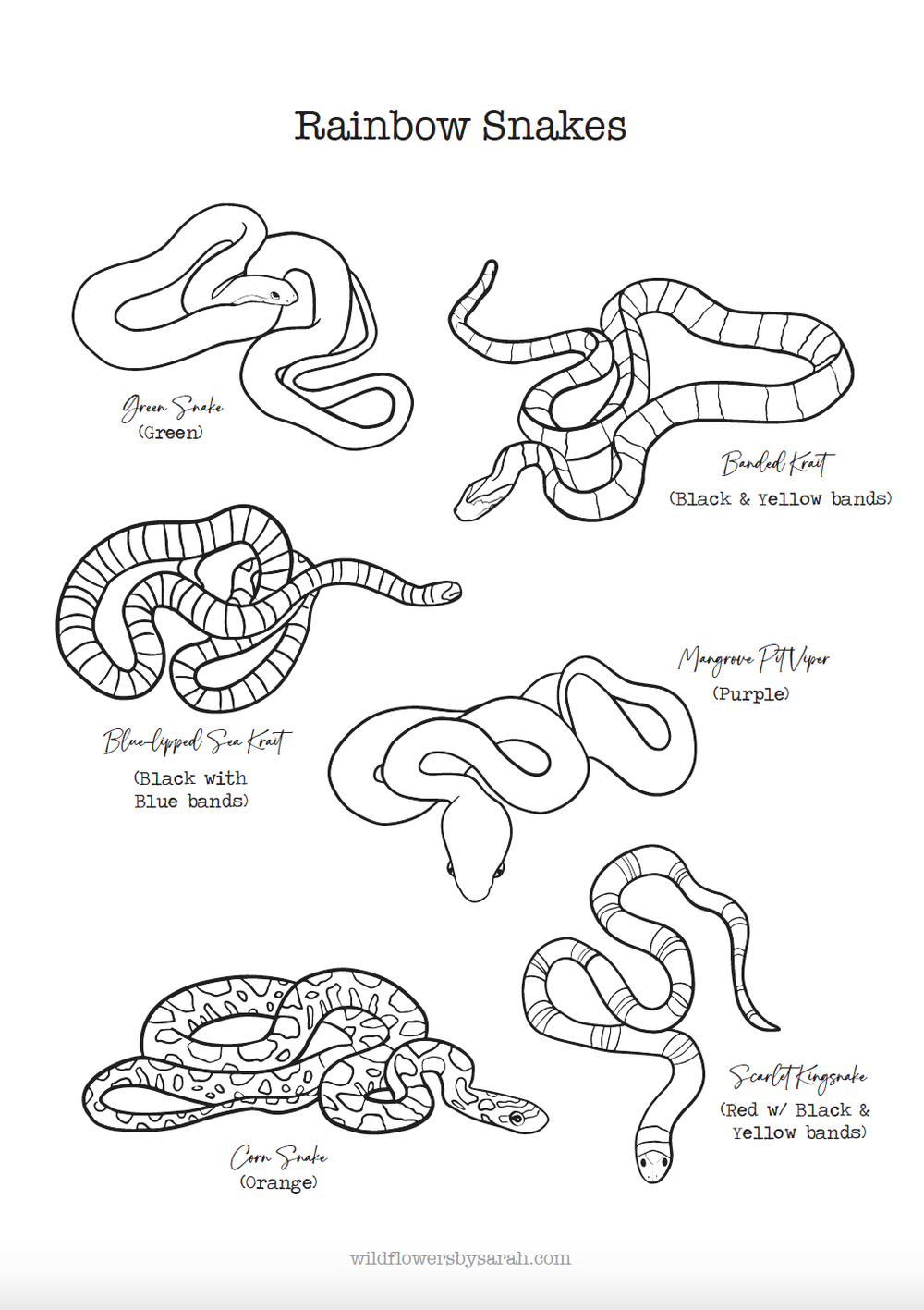 Shop — Wildflowers