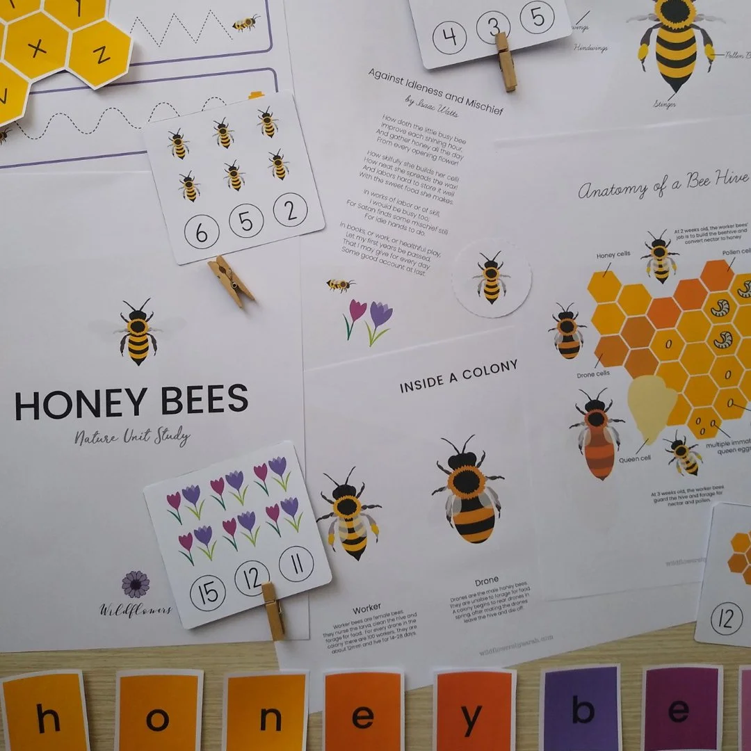Honeybees Unit Study — Wildflowers