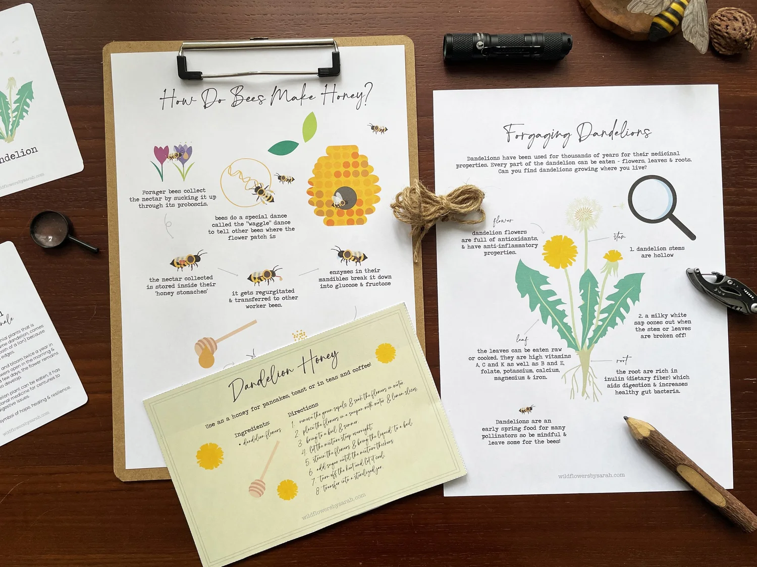 Shop — Wildflowers