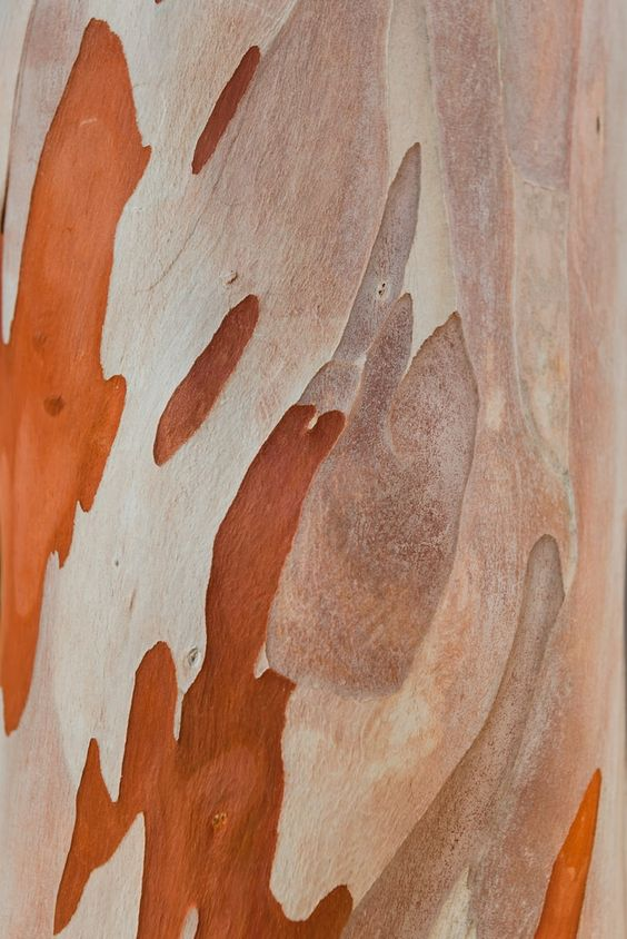 What You Need To Know About Acne-Prone Skin — Simply Skin