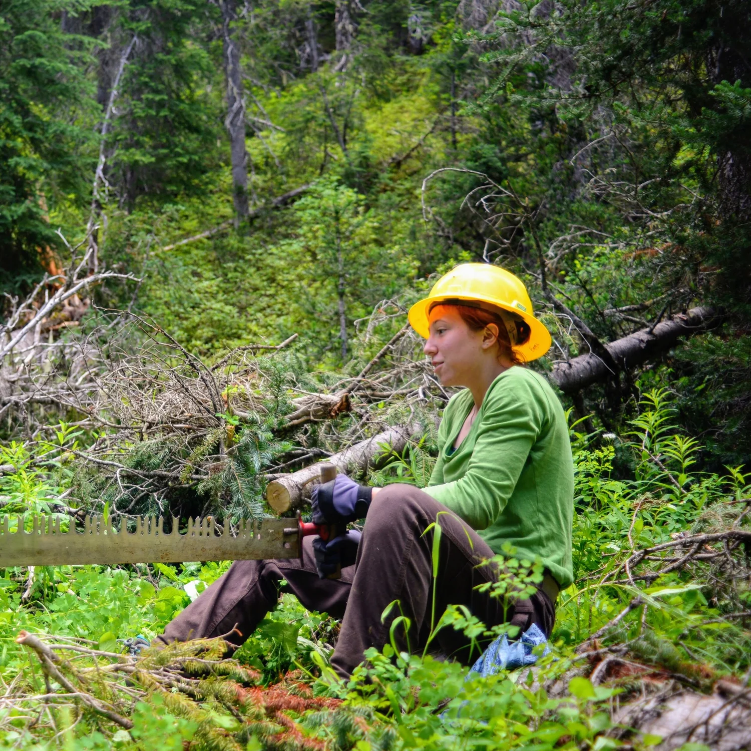 Weiss — Agroecology Lab