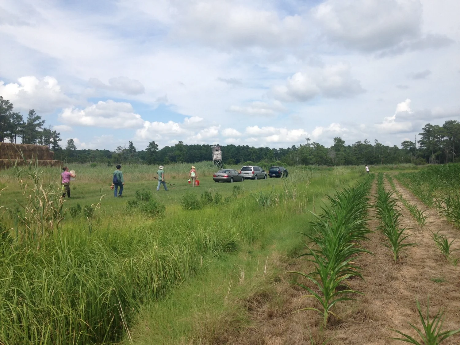 Partners — Agroecology Lab