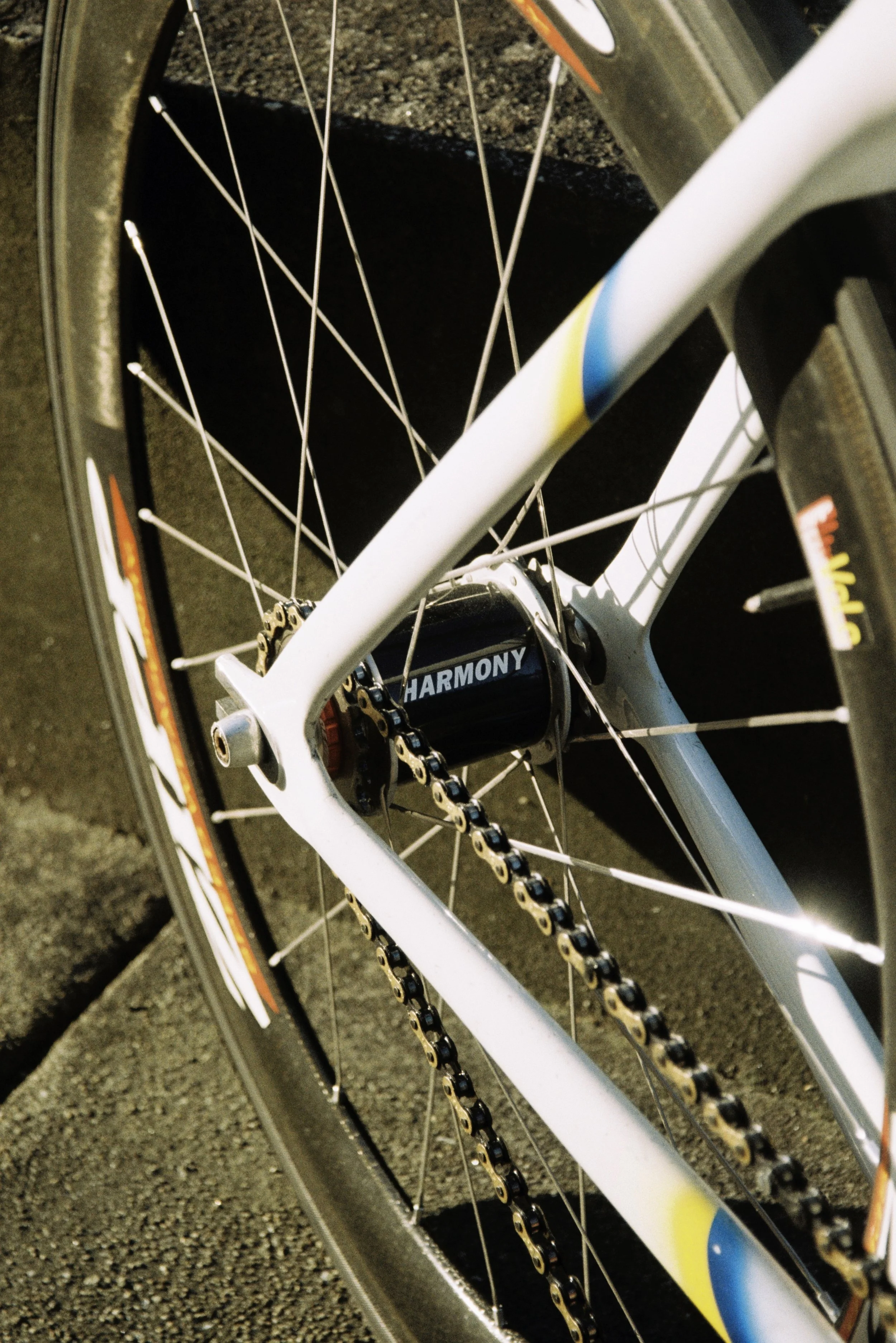 Bike Check: Dima’s Elin — Slow Spin Society