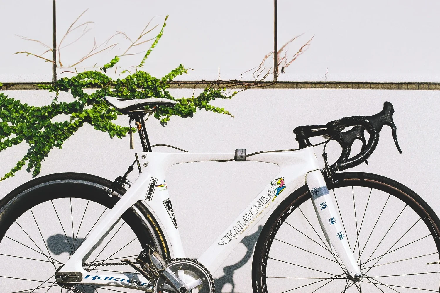 Bike Check: Yuki’s Carbon Kalavinka — Slow Spin Society