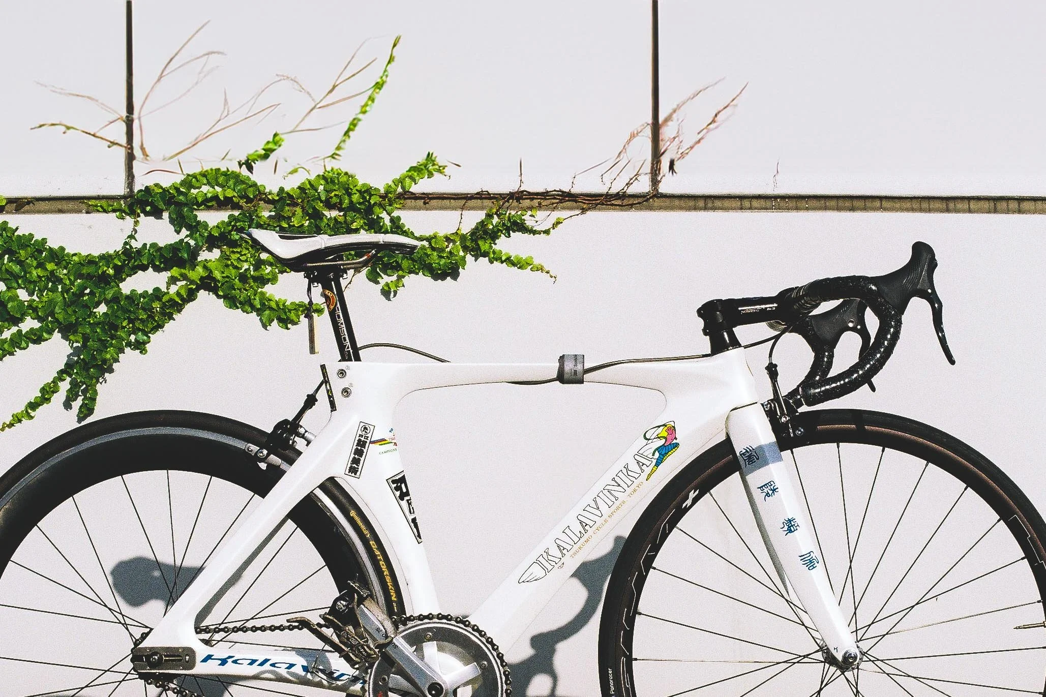 Bike Check: Yuki’s Carbon Kalavinka — Slow Spin Society