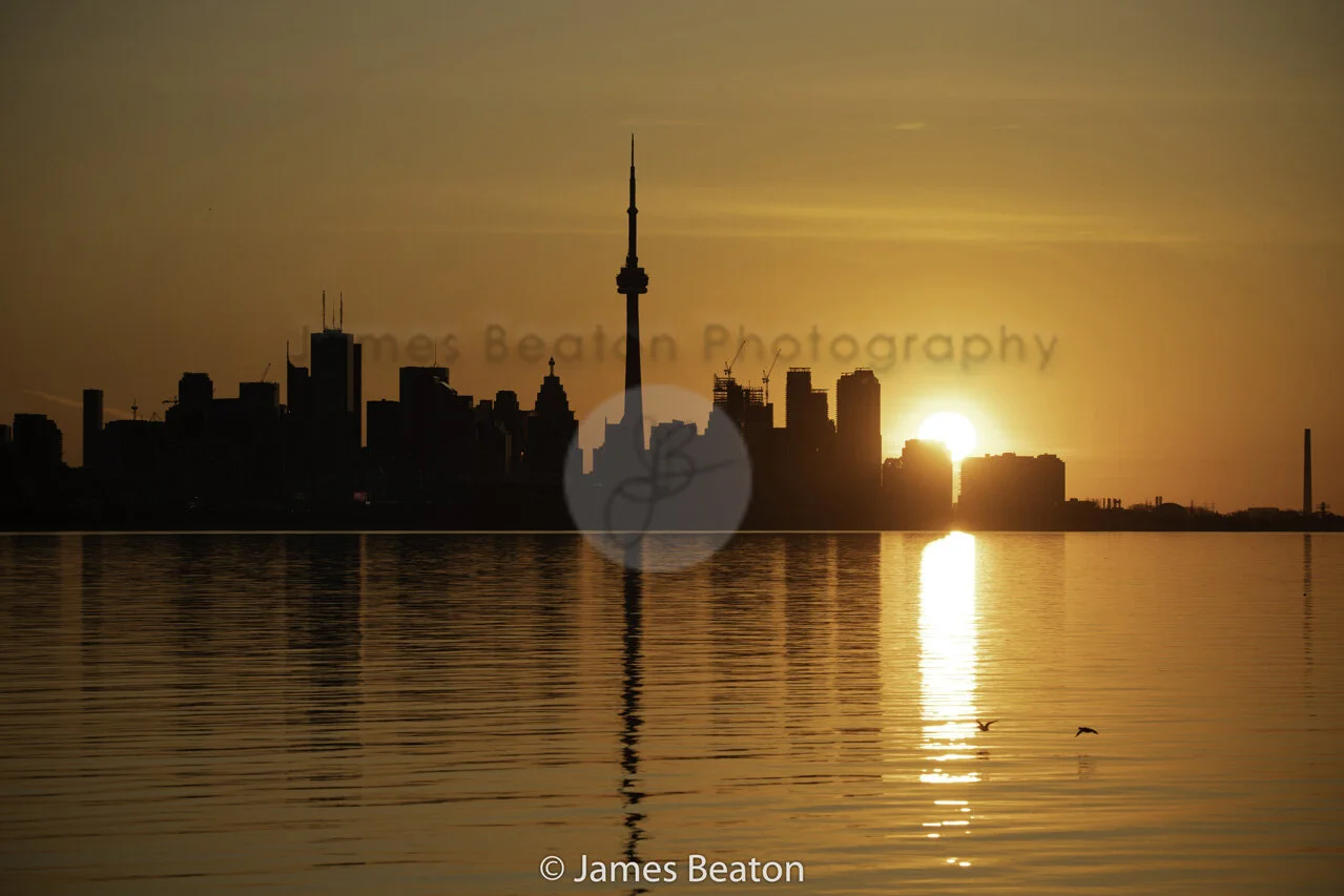 Wider — James Beaton Photography