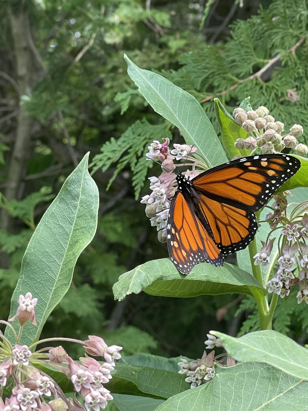 Town of Topsham, Vermont