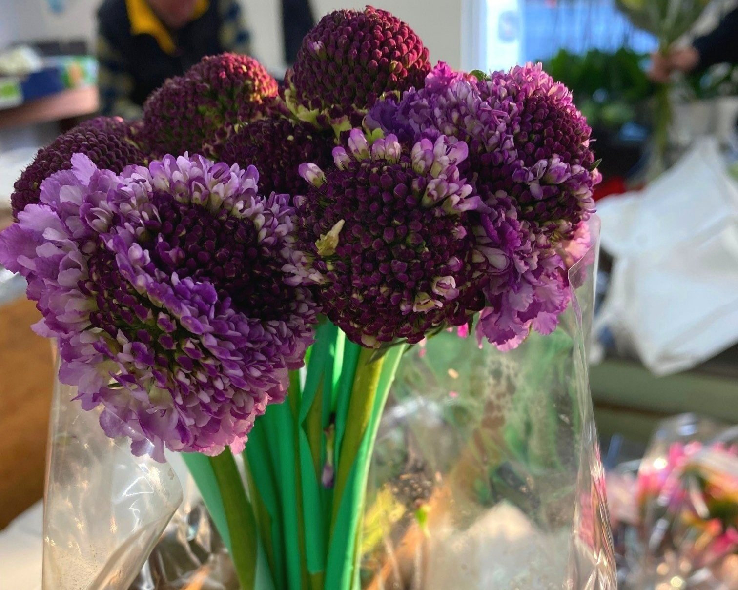 Derita Floral Supply Co.