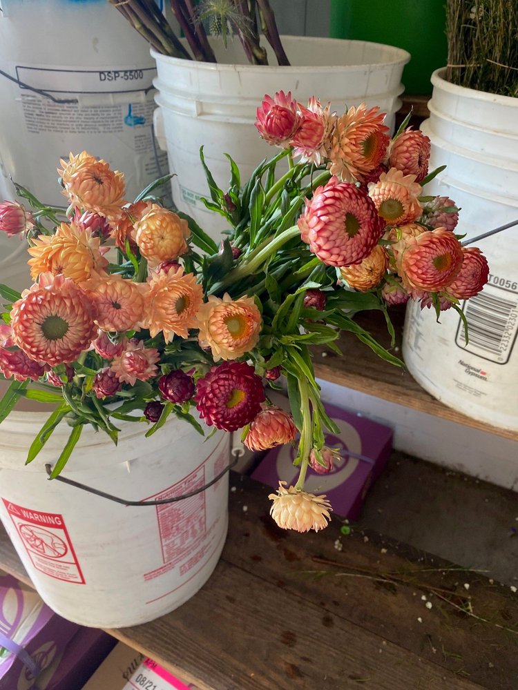 Derita Floral Supply Co.