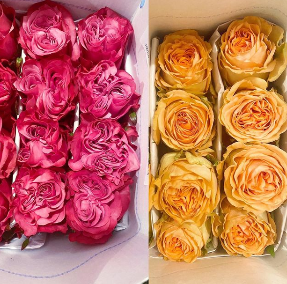 Derita Floral Supply Co.