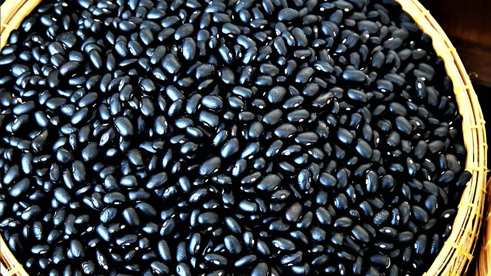 Frijoles! Soft black beans that are flavorful and fiber-ful — Little Cocoa Bean Company