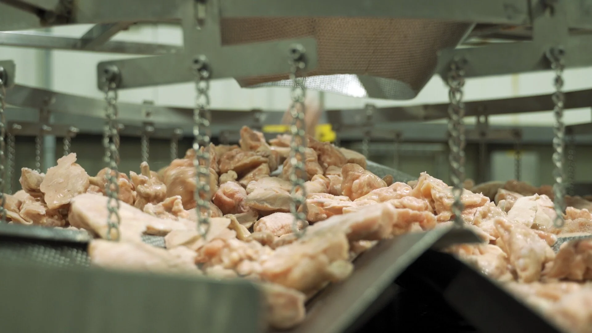 Capabilities — Custom Craft Poultry