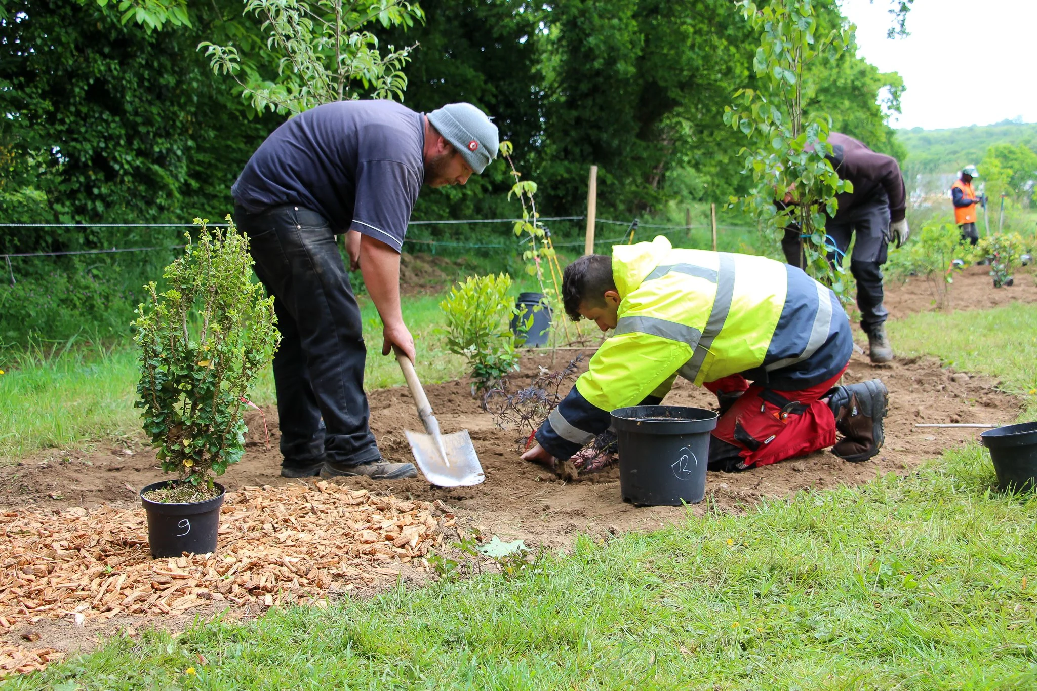 BP AP : le réaménagement continue ! — CFPPA - Kernilien