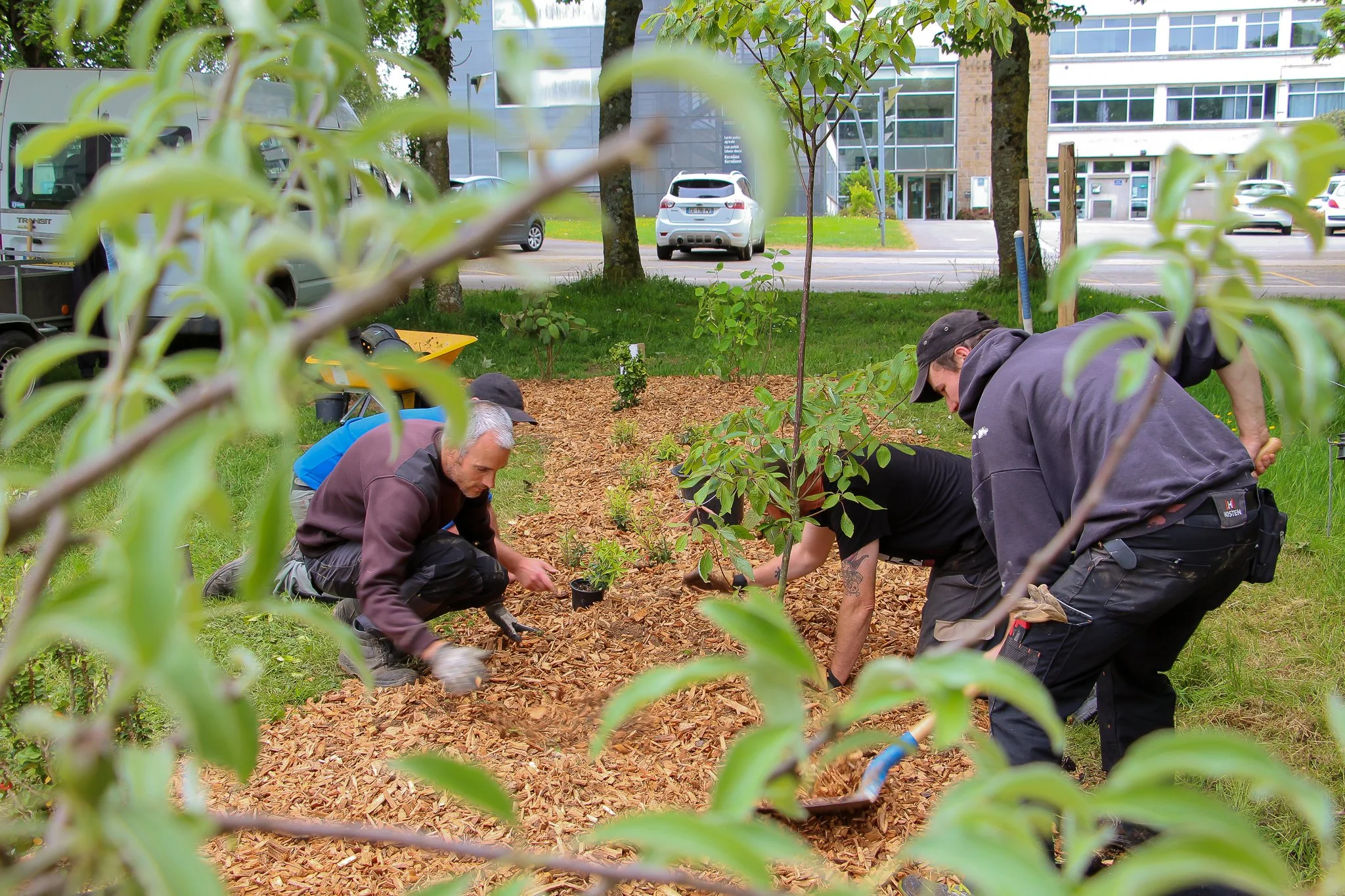 BP AP : le réaménagement continue ! — CFPPA - Kernilien